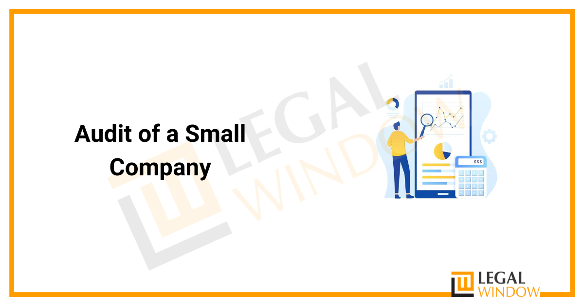 Audit of a Small Company | Types of Small Business Audits